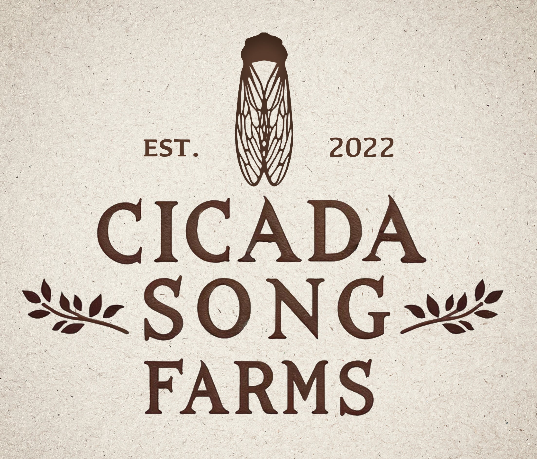 Beef Sirloin Tip Roast – Cicada Song Farms